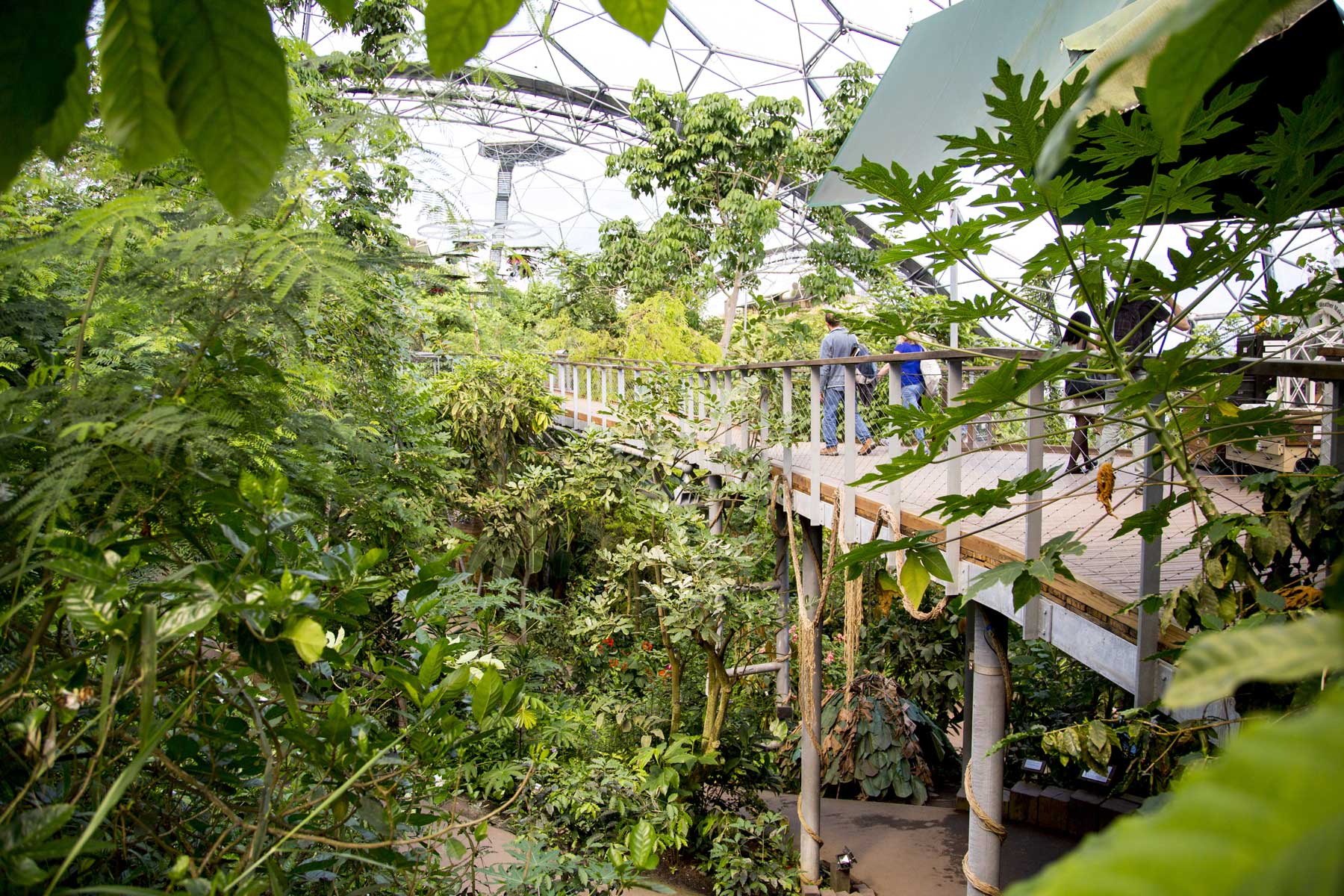 Eden Project - Visit Cornwall Travel Trade - Travel Media