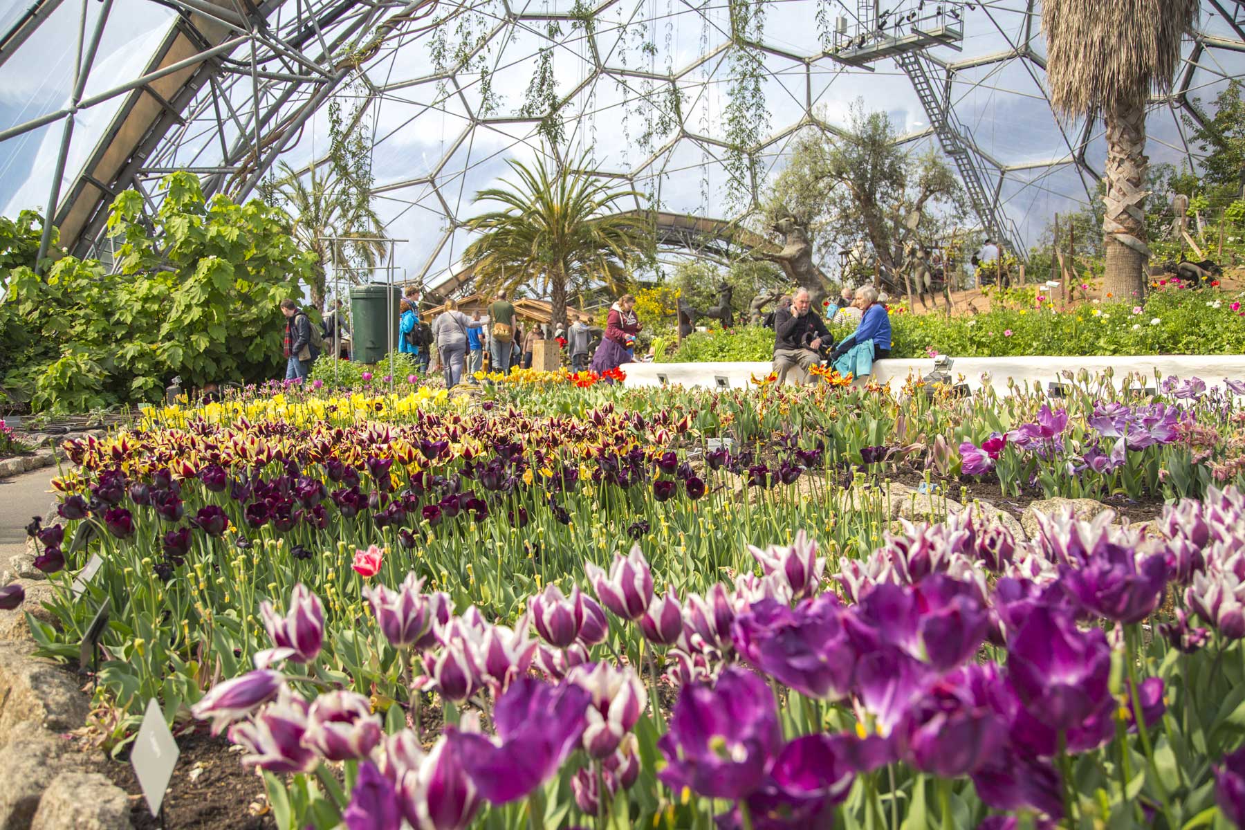 Eden Project - Visit Cornwall Travel Trade - Travel Media