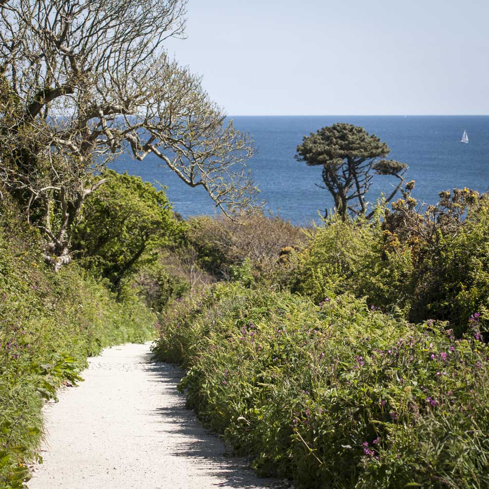 South Cornwall - Visit Cornwall Travel Trade - Travel Media
